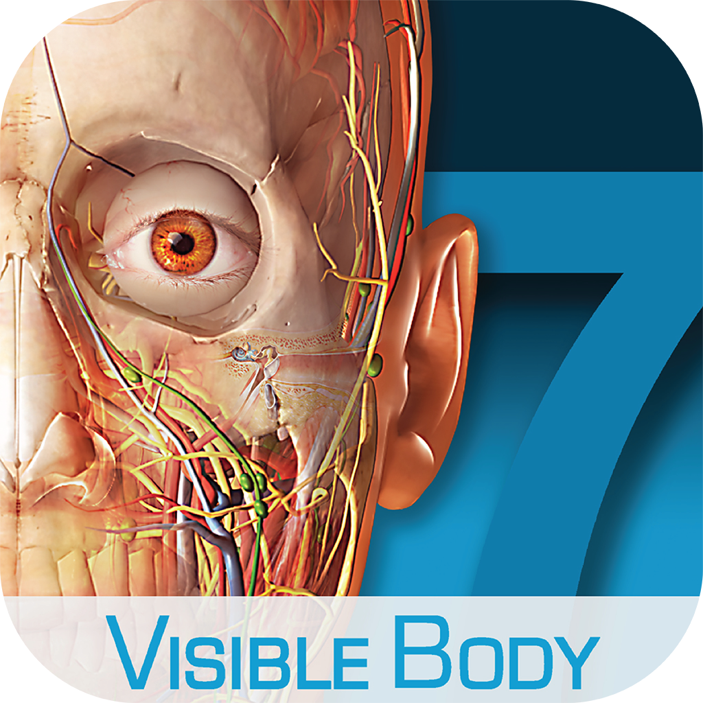 Human Anatomy Atlas